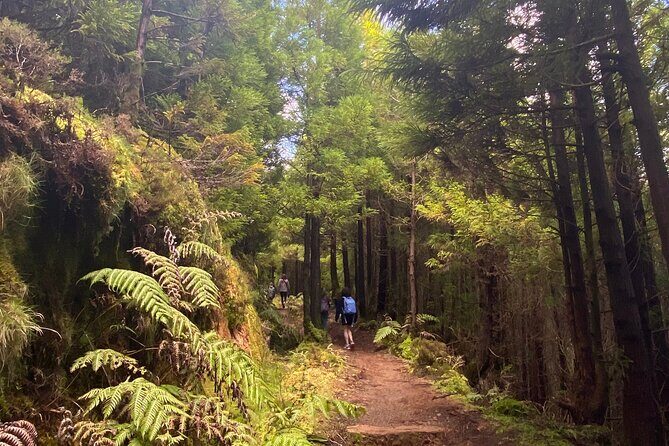 Full Day Hiking Trail Sete Cidades and Ferraria - An In-Depth Look at the Experience