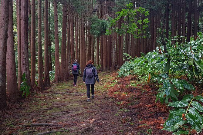 Full Day Hiking Trail Waterfalls- in Lomba de São Pedro - Azores - Frequently Asked Questions
