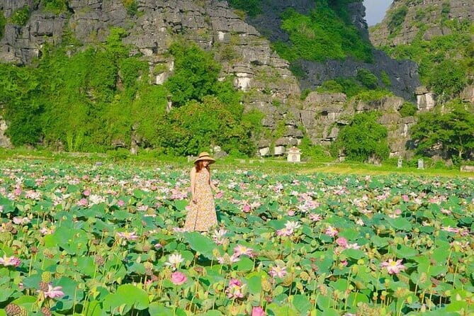 Full Day Hoa Lu Tam Coc Or Trang An Tour - Deep Dive into the Itinerary