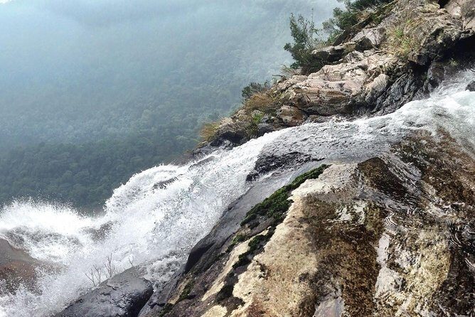 Full day: Hoi An - Bach Ma National Park - Who Is This Tour Best Suited For?