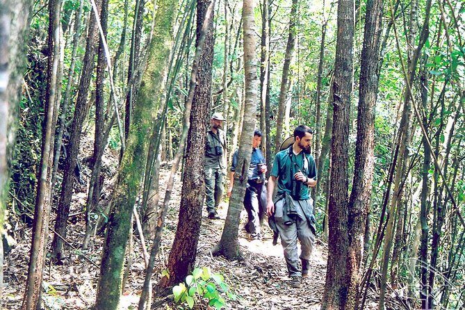 Full day: Hoi An - Bach Ma National Park - FAQ: Quick Answers for Potential Travelers