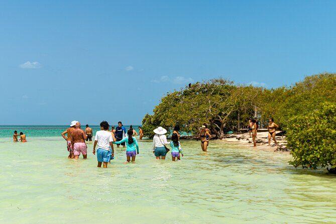 Full Day Holbox Island Tour from Cancun with Lunch - Boat Ride & Exploration on Holbox