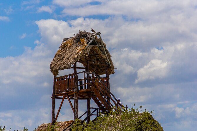 Full Day Holbox Island Tour from Cancun with Lunch - Optional Extra: Free Time in Holbox