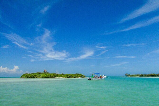 Full Day Holbox Island Tour from Cancun with Lunch - Practical Details & Considerations