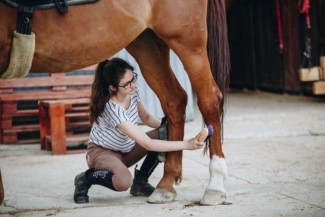 Full day Horse riding & Quad biking - Frequently Asked Questions
