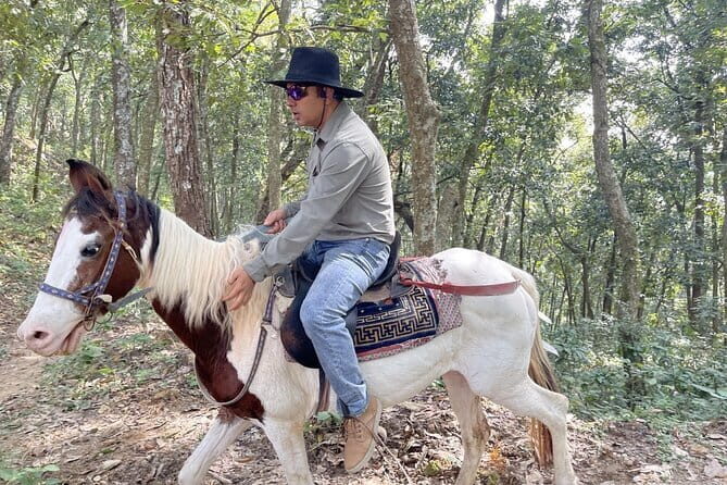 Full Day Horse Riding to Sarangkot in Pokhara - Key Points