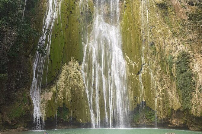 Full Day Humpback Whale Watching Tour in Samana from Uvero Alto - FAQ