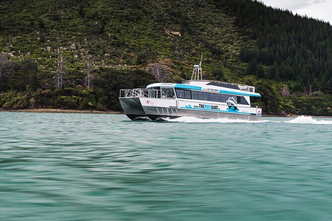 Full Day Iconic Mail Boat Cruise - Exploring the Marlborough Sounds by Mail Boat