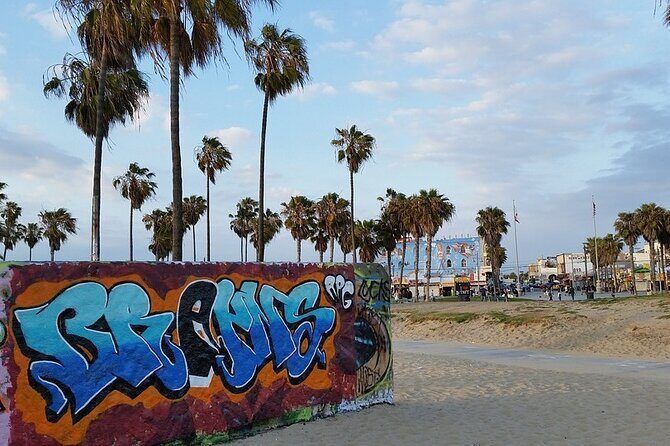 Full Day Iconic Sights Tour of Los Angeles from Anaheim: 6 Stops - Real Traveler Feedback and Authentic Insights