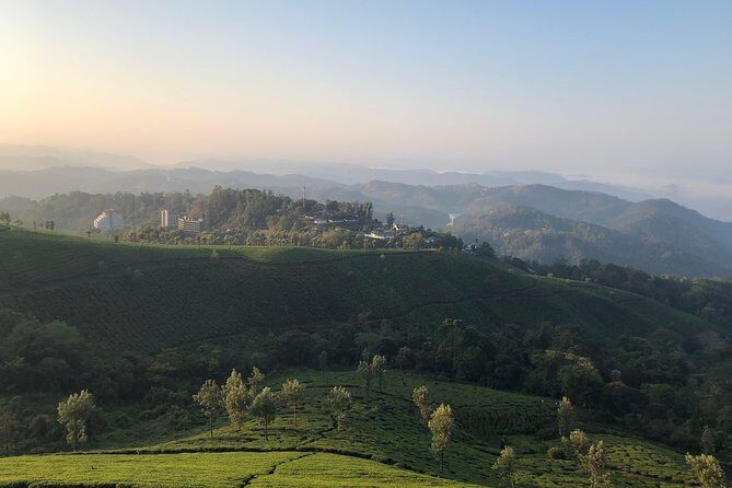 Full day in hiking in Munnar (By Munnar Info) - A Practical Overview of the Full-Day Munnar Hike