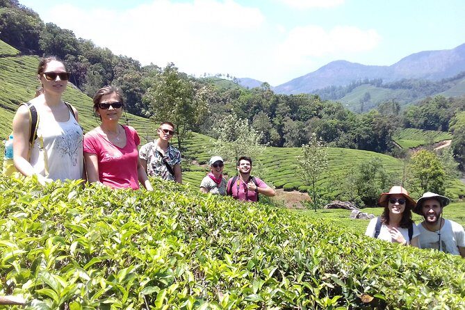 Full day in hiking in Munnar (By Munnar Info) - What’s Included and What You Need to Arrange