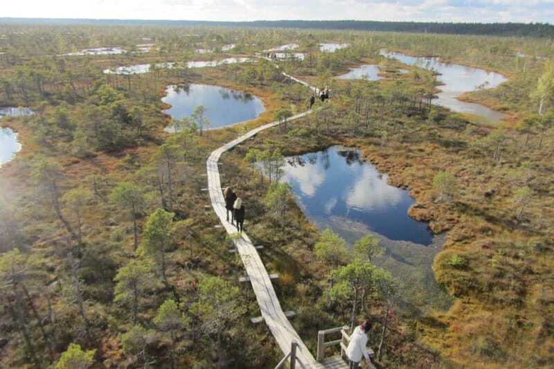 Full Day in Jurmala and Kemeri National Park - From Cultural Heritage to Natural Wonders: Kemeri National Park
