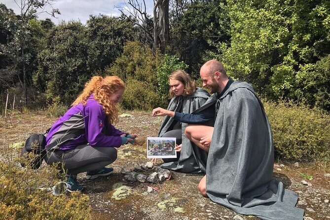 Full Day in Middle Earth - Lord of the Rings Tour - The Itinerary in Detail: What You Can Expect