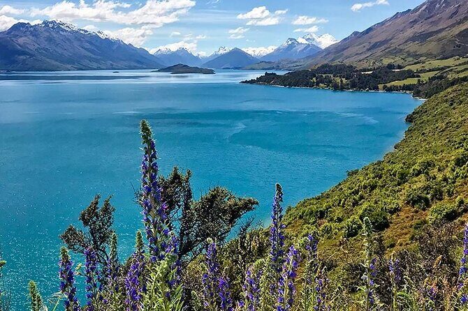 Full Day in Middle Earth - Lord of the Rings Tour - Who Should Book This Tour?