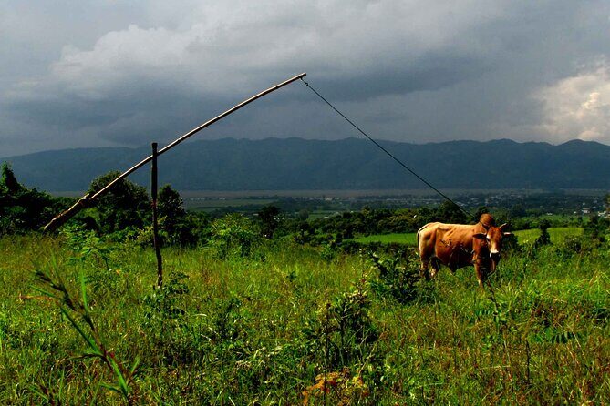 Full Day Inle Lake Trekking - Who Should Consider This Tour?