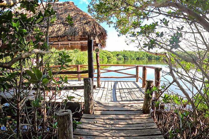 Full-Day Isla Contoy Sailing Nature Experience in Mujeres - Meeting Point and Departure