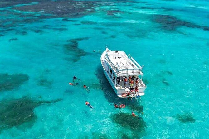 Full-Day Isla Contoy Sailing Nature Experience in Mujeres - Snorkeling at El Farito