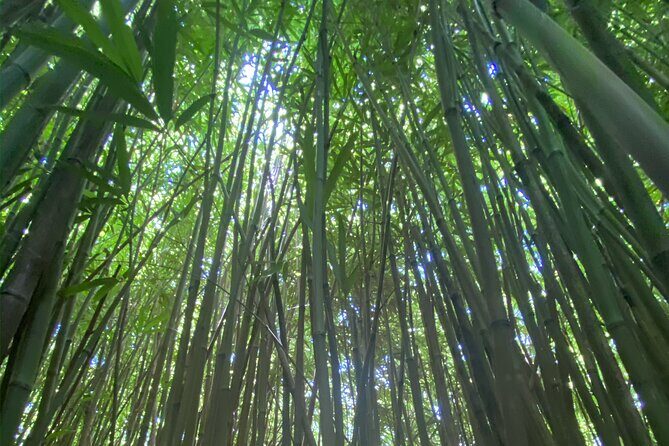 Full Day Island of Maui Private Tour - FAQ