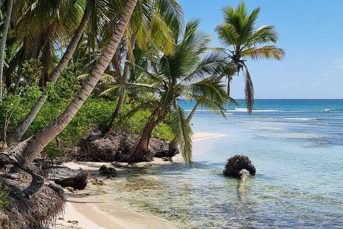 Full Day Island Tour in Isla Saona from Punta Cana - Final Words