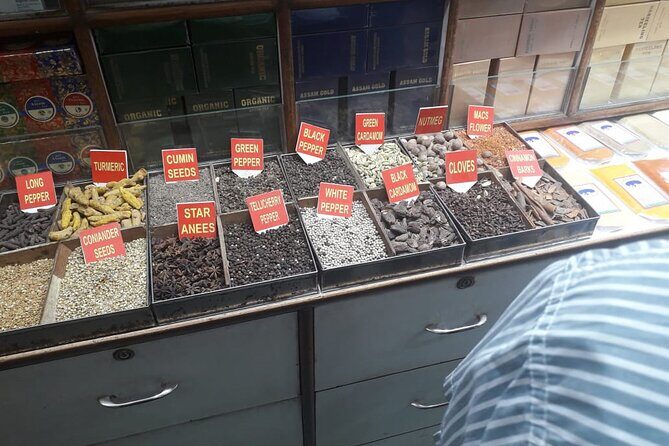 Full Day Jaipur City Tour - Exploring Jaipur in a Day: What to Expect