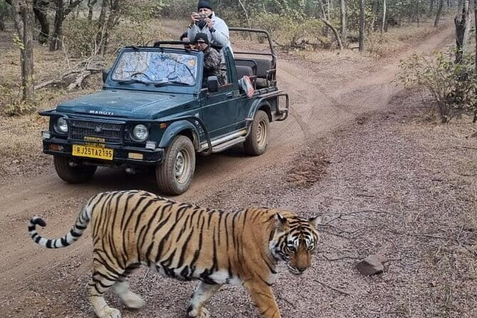 Full day Jaipur Excursion - FAQs