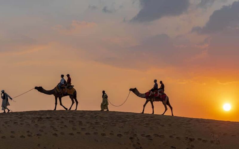 Full-Day Jaisalmer City Tour - Fort, Havelis & Desert Charm - Key Points
