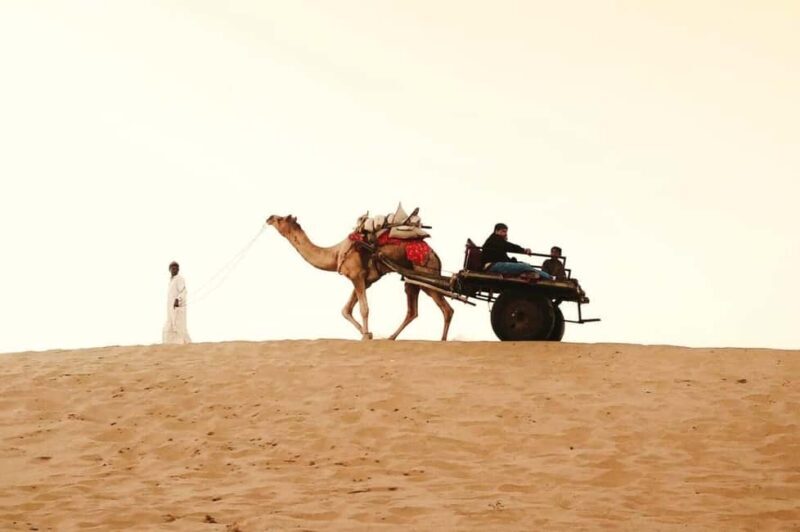 Full-Day Jaisalmer Desert Safari & City Tour with Camel Ride - Key Points