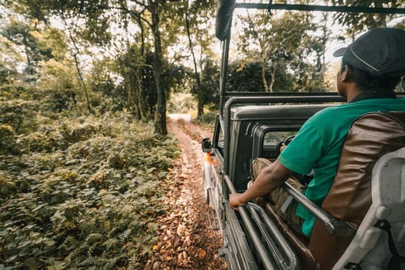 Full Day Jeep Safari in Chitwan National Park - Key Points