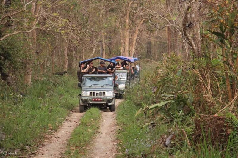 Full Day Jeep Safari in Chitwan National Park - The Itinerary: A Closer Look