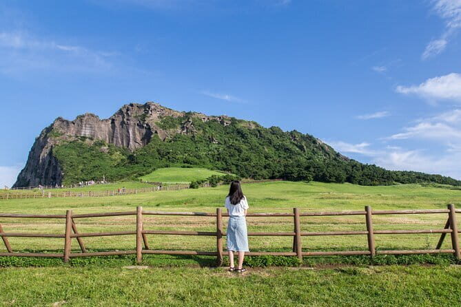 Full Day Jeju Private Customizable highlight Tour - Authenticity and Local Flavor