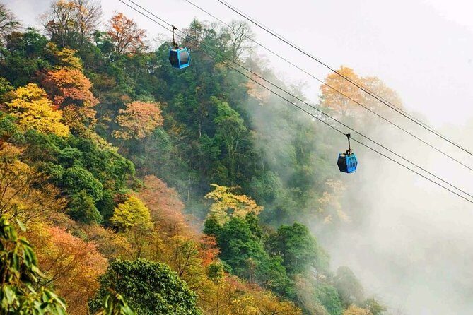 Full Day Jinfo Mountain Tour - Who Will Love This Tour?