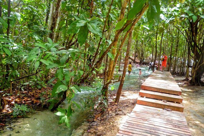 Full-Day Jungle Tour Including Tiger Cave Temple, Crystal Pool and Krabi Hot Springs - Transportation and Logistics