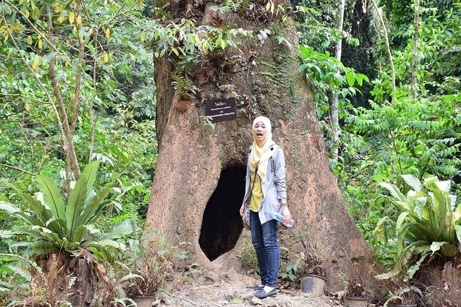 Full-Day Jungle Tour Including Tiger Cave Temple, Crystal Pool and Krabi Hot Springs - What’s Missing or Could Be Better