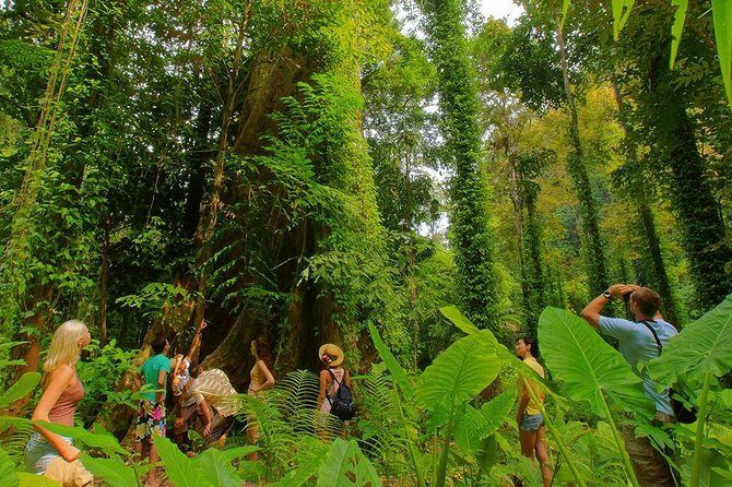 Full-Day Jungle Tour Including Tiger Cave Temple, Crystal Pool and Krabi Hot Springs - Who Would Enjoy This Tour?