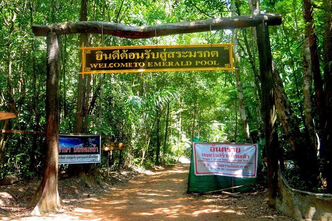 Full-Day Jungle Tour Including Tiger Cave Temple, Crystal Pool and Krabi Hot Springs - Final Thoughts: Who Should Sign Up?