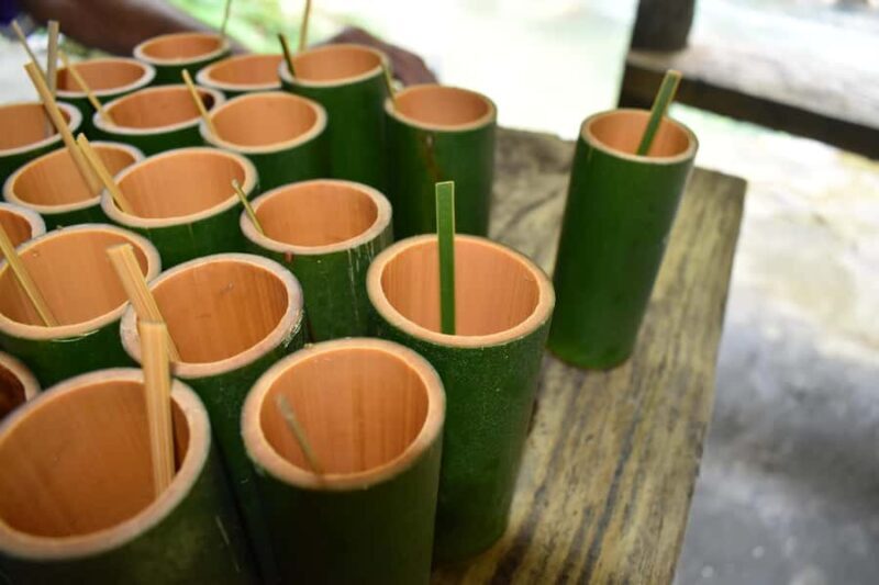 Full day Jungle trekking with Tubing adventure - What to Expect from This Full Day Adventure