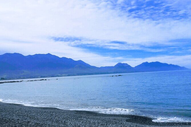 Full Day Kaikoura Tour Whale Watching Seals and Scenic Coast - First Stop: Ohau Point Seal Colony (45 Minutes)