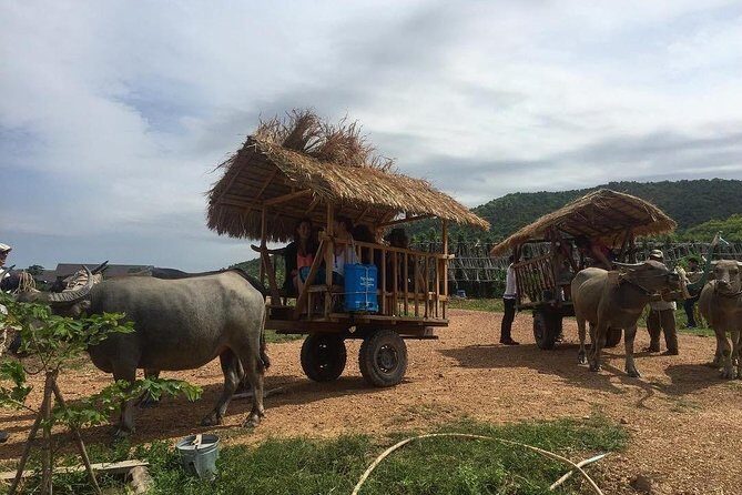 Full-Day Kampot & Kep with a local Tuk Tuk Tours - Key Points