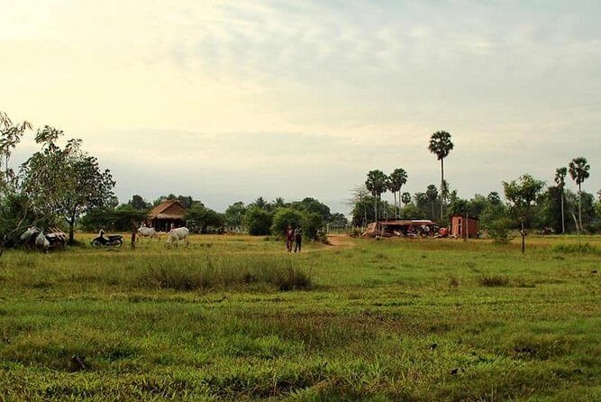 Full-Day Kampot & Kep with a local Tuk Tuk Tours - A Practical Overview for the Curious Traveler