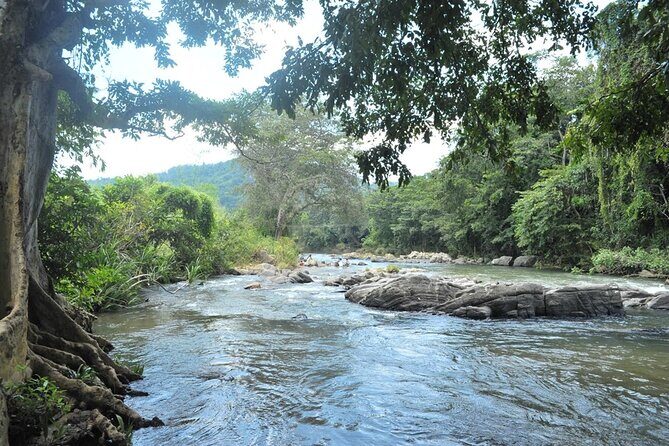 Full day Kandy walking tour with TUK TUK ride to Peradeniya gardens - FAQ