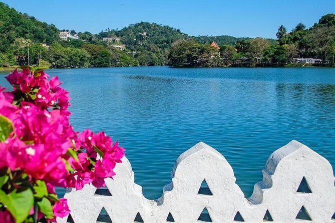 Full day Kandy walking tour with TUK TUK ride to Peradeniya gardens - Final Thoughts