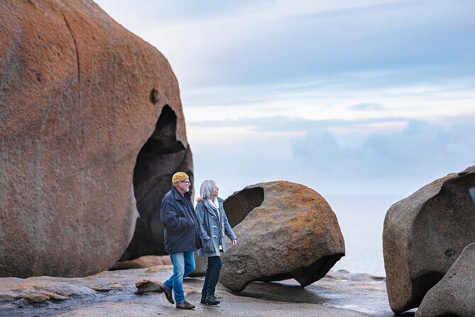 Full-Day Kangaroo Island Experience Departing from Kangaroo Island - An Introduction to the Tour Experience