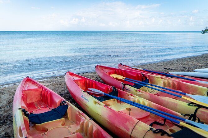 Full-Day Kayak Adventure  Explore Fajardos Crystal-Clear Waters - A Deep Dive into the Experience