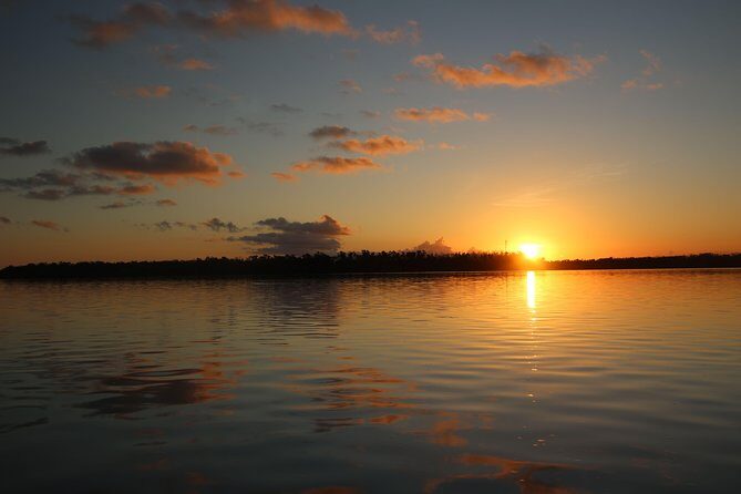 Full-Day Kayak Adventure in the Everglades - Final Thoughts