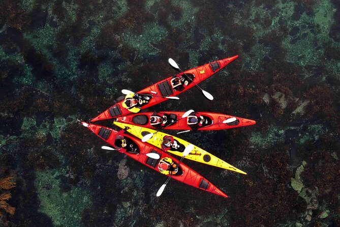 Full Day Kayak-Northern Explorer - Introduction
