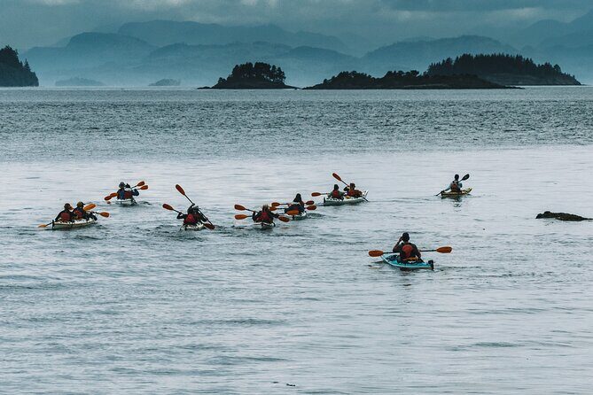 Full Day Kayaking Adventure on Vancouver Island - The Basics: What to Expect