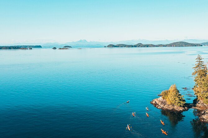 Full Day Kayaking Adventure on Vancouver Island - Wildlife Encounters & Interpretation