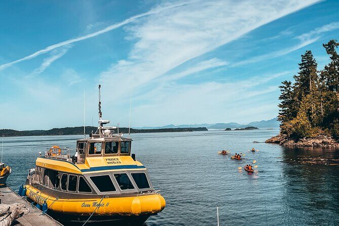 Full Day Kayaking Adventure on Vancouver Island - Potential Drawbacks