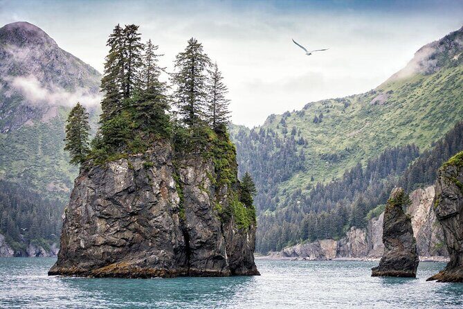 Full-Day Kenai Fjords National Park Cruise - The Itinerary: An In-Depth Look