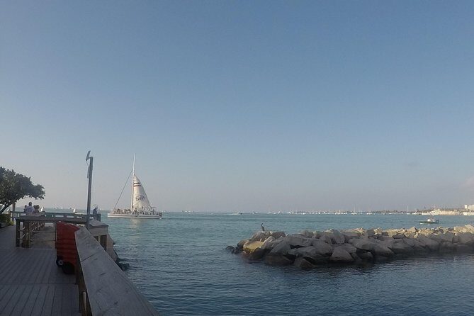 Full-Day Key West Tour and Coral Reef Snorkeling with Open Bar - Return to Miami and Final Thoughts